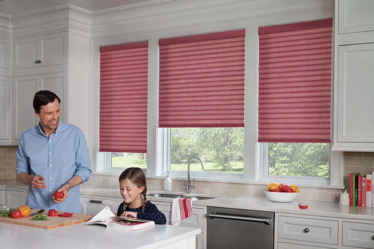 5 Advantages of Tinted House Windows | Beautiful Windows Blinds